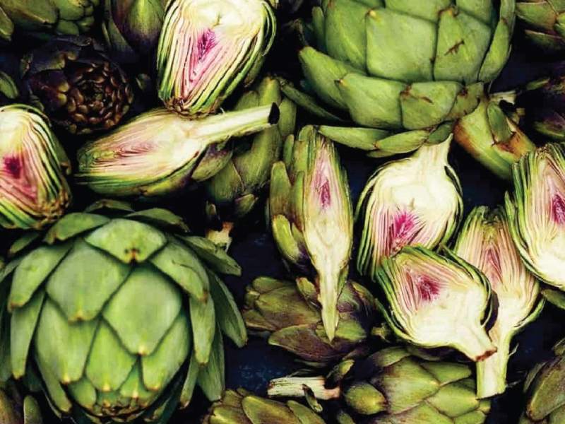 Thông tin chính xác về tác dụng của atiso